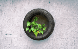 ¿Qué es reutilizar? ♻️ | Reduce, Reutiliza, Recicla
