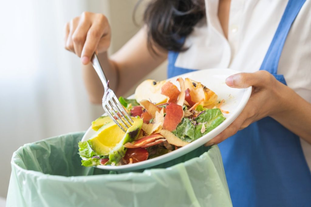 Reciclaje de residuos orgánicos: qué es y cómo hacerlo bien